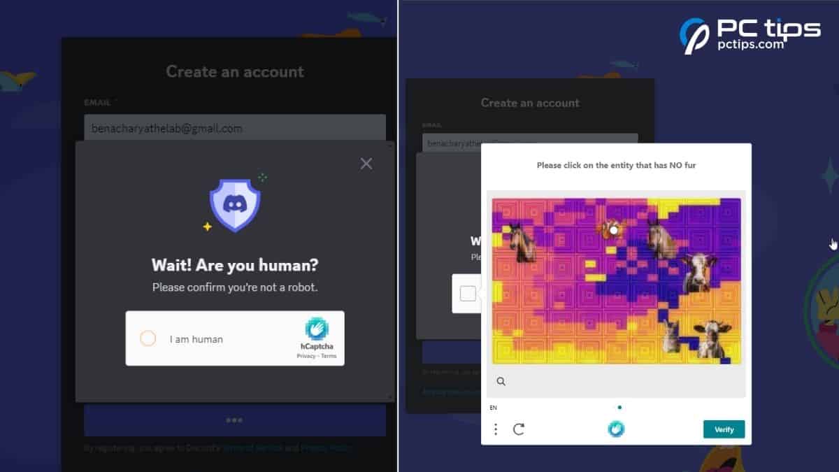 30+ Must-Have Google Chrome Extensions