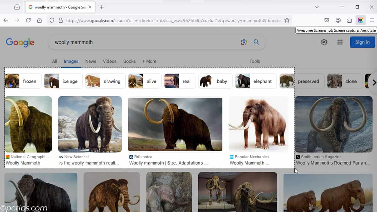 How To Take Screenshots Like a Pro