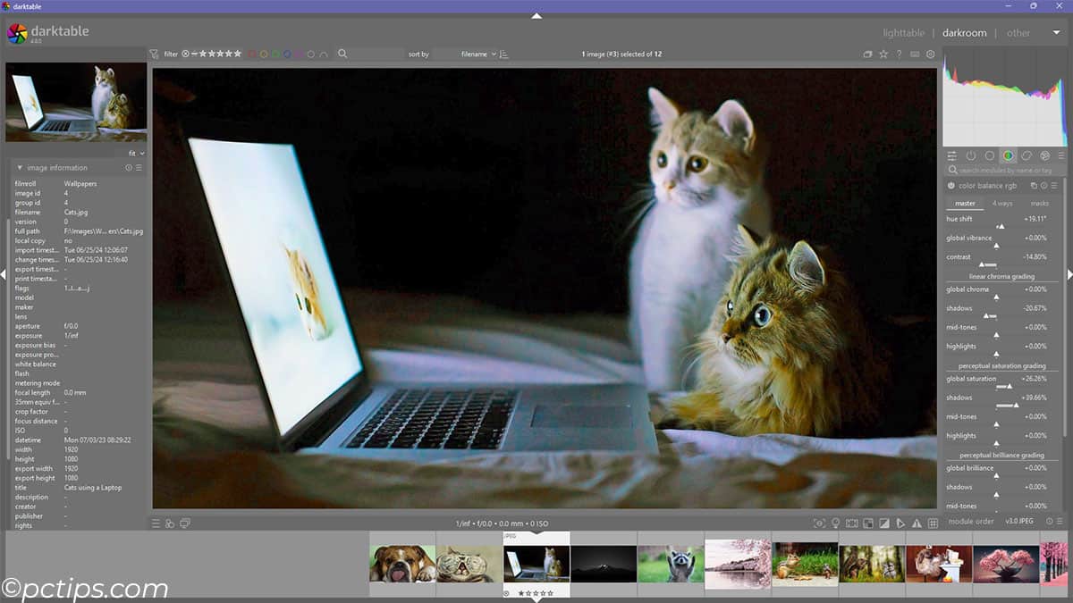 25 Best Free Software Alternatives You Should be Using