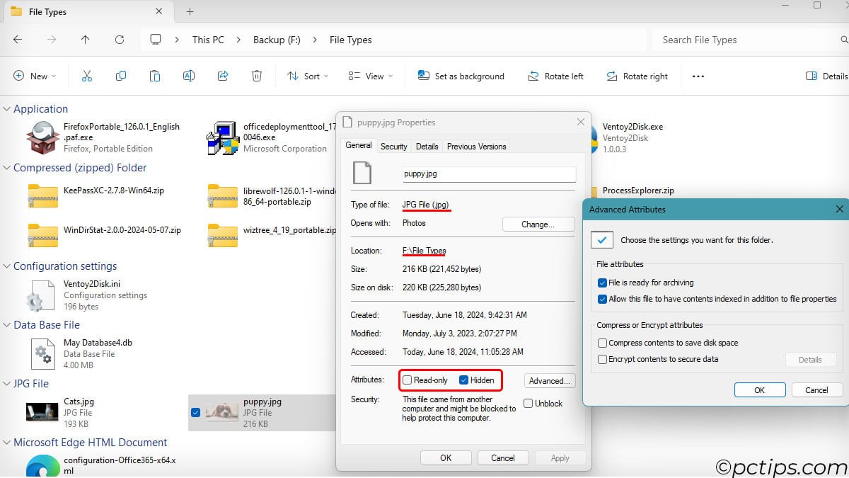 200 Most Useful Computer Terms For Beginners