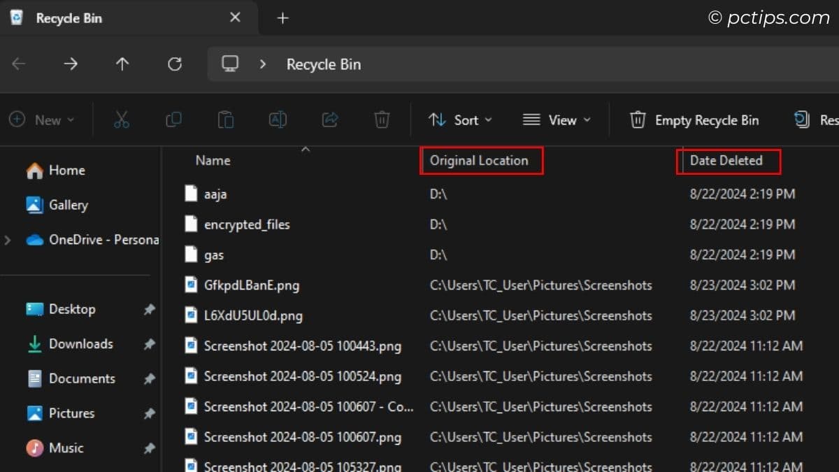 12 Recycle Bin Secrets Every Windows User Must Know