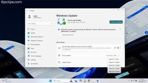 The Complete Beginner’s Guide to Windows Update